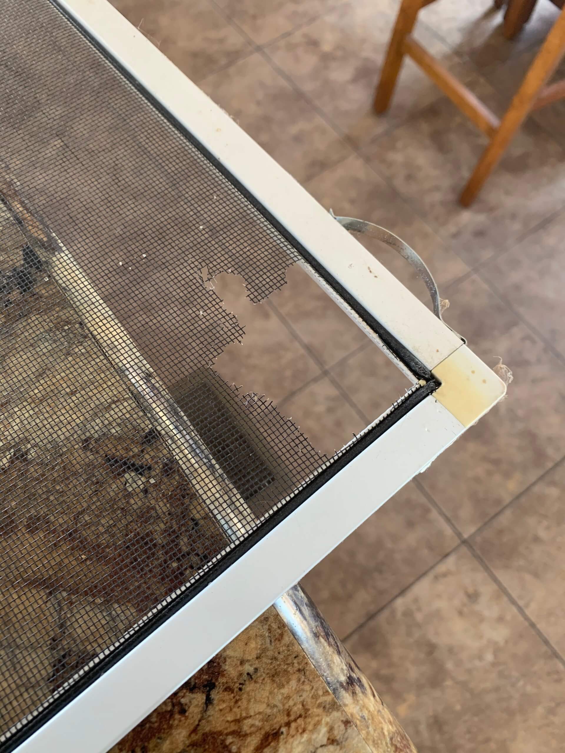 Darn Rats - Copper Horse